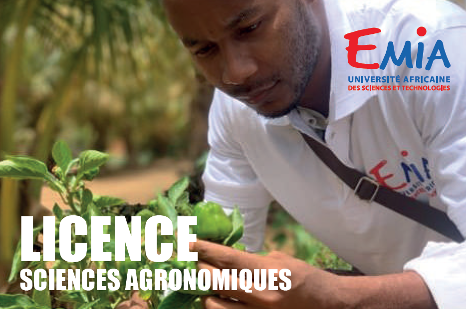 EMIA - Université des Sciences et Technologie